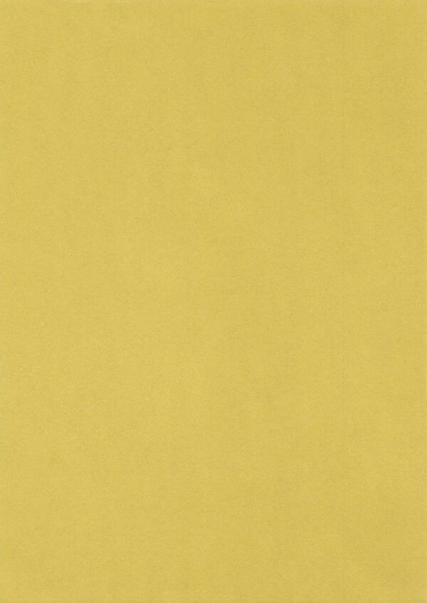 Panther Stationery | Shop